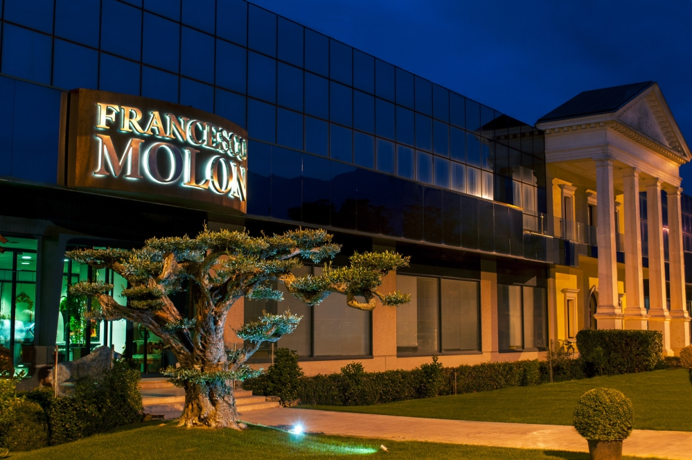 Home Page Molon | Francesco Molon